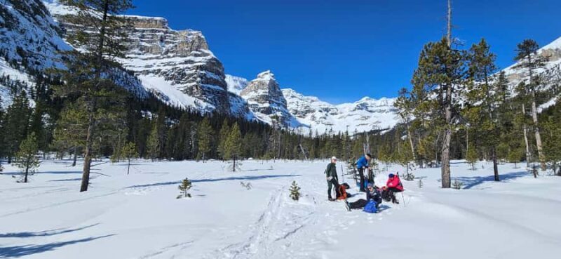 Banff: Chickadee Valley Snowshoe & Marble Canyon Walk - A Gentle Introduction to Snowshoeing in Kootenay National Park