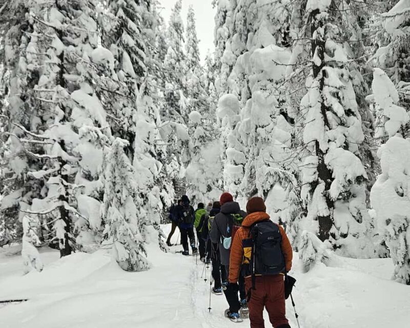 Banff: Chickadee Valley Snowshoe & Marble Canyon Walk - The Value of This Experience