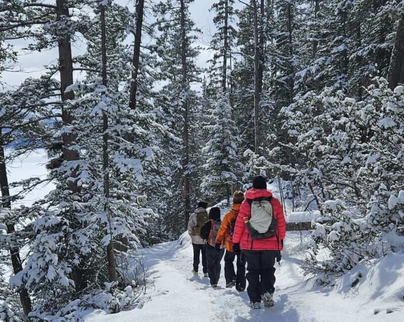 Banff: Chickadee Valley Snowshoe & Marble Canyon Walk - Final Thoughts: Who Will Love This Tour?