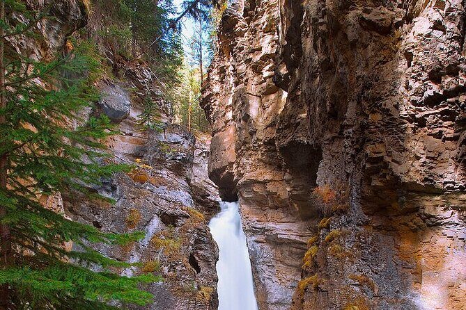 Banff Day Tour Johnston Canyon and Banff Gondola from Calgary - FAQ