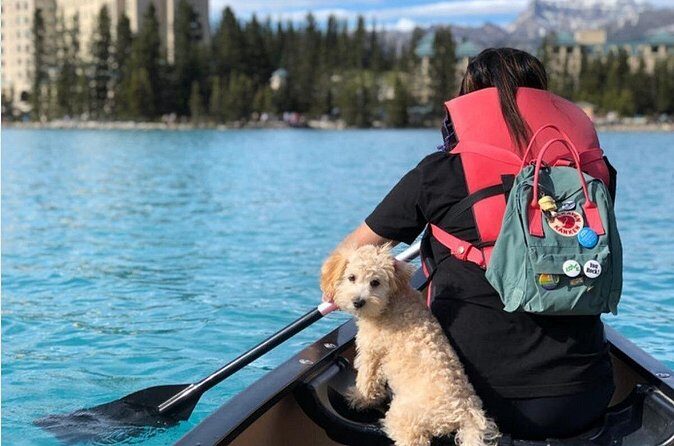 Banff Day Trip in Lake Louise Natural Bridge and Takakkaw Falls - FAQ