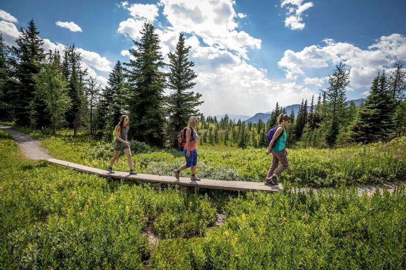 Banff: Edible and Medicinal Plants Nature Walk - The Value of the Price