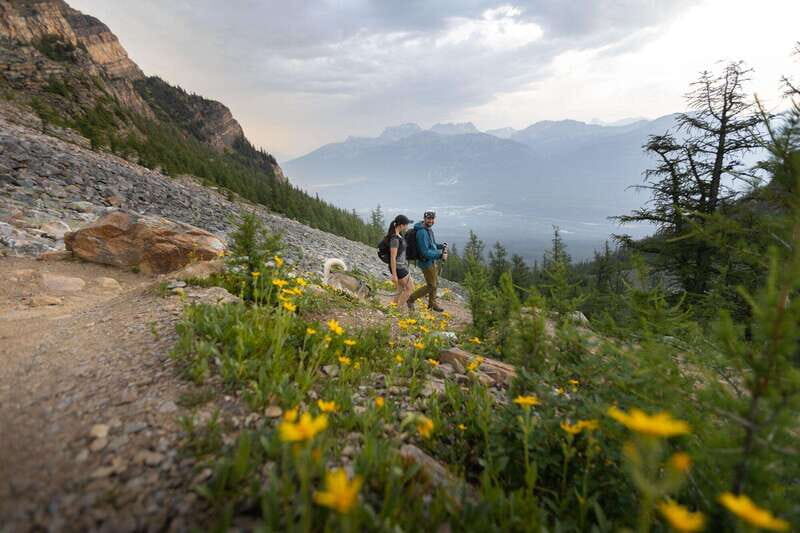 Banff: Edible and Medicinal Plants Nature Walk - Authentic Experiences Shared by Past Participants