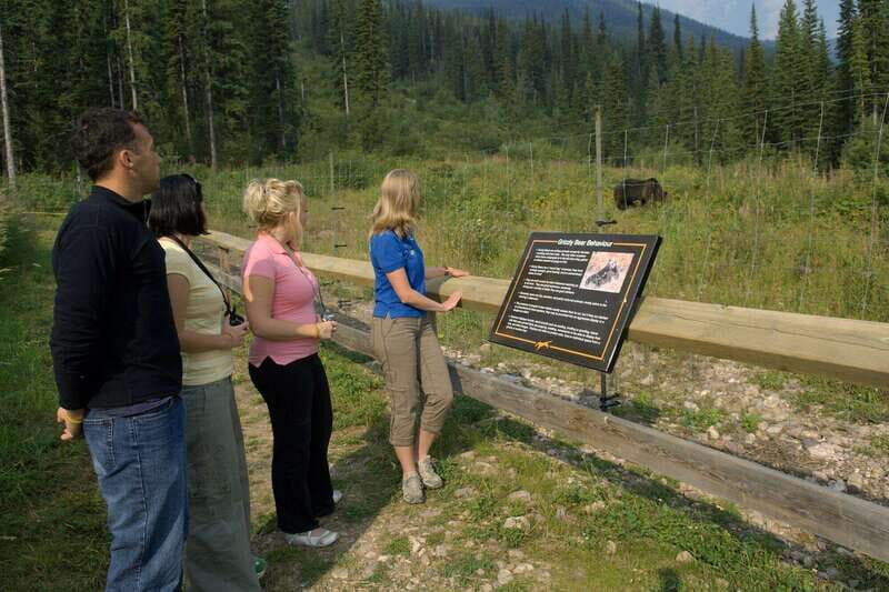 Banff: Edible and Medicinal Plants Nature Walk - Detailed Breakdown of the Itinerary
