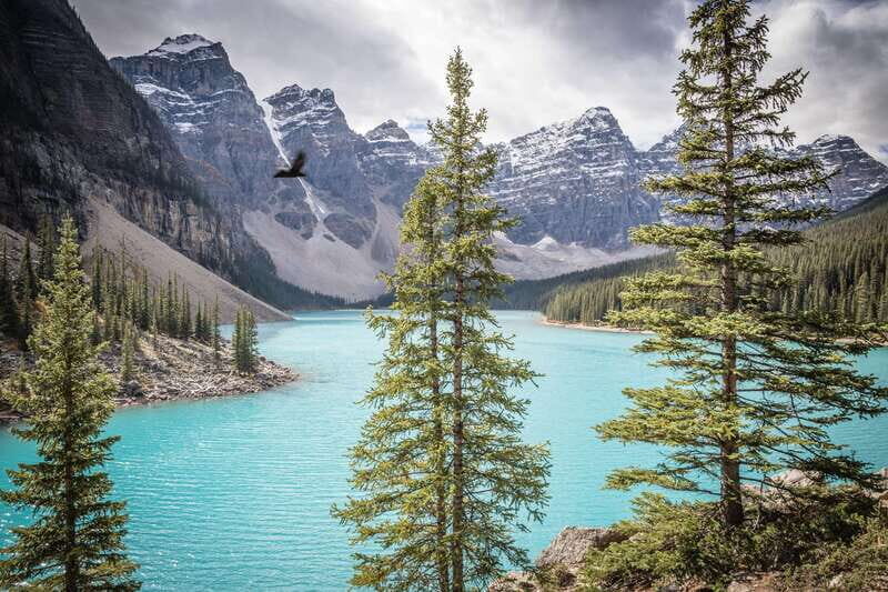 Banff: Experience Moraine, Louise & Peyto Lakes (2 Days) - An In-Depth Look: What This Tour Offers