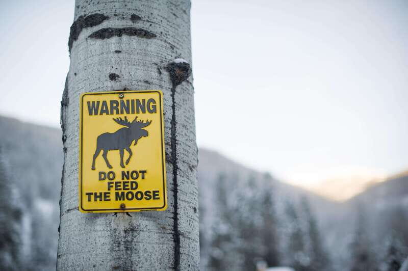 Banff: Explore Winter Nature Walk - Ice Cleats Included 2H - Discovering Banff’s Hidden Winter Gems