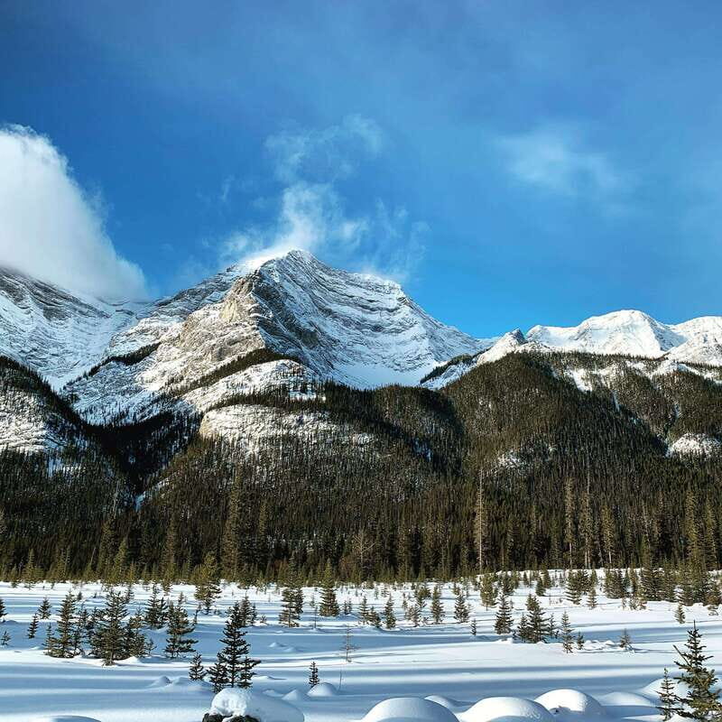 Banff: Explore Winter Nature Walk - Ice Cleats Included 2H - The Sum Up