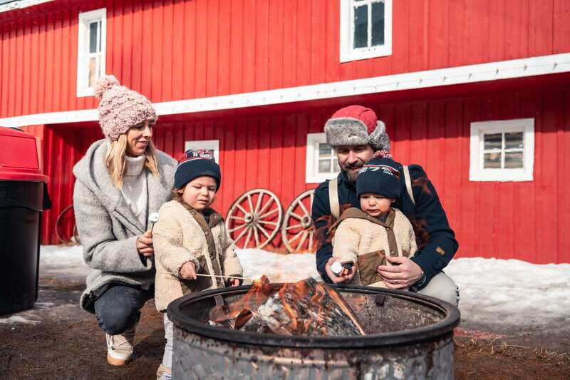 Banff: Family Friendly Horse-Drawn Sleigh Ride - A Scenic Journey Through Banff’s Winter Landscape