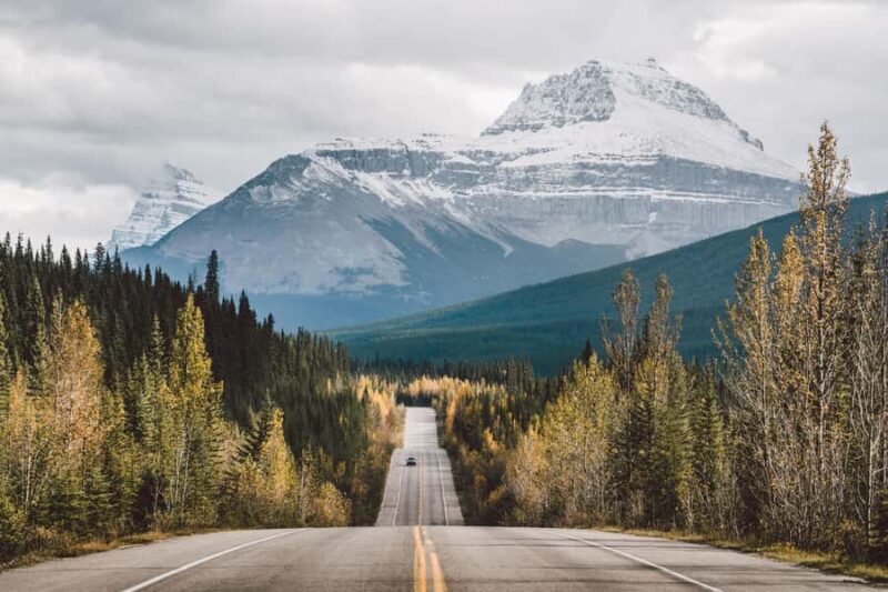 Banff: Full Day Guided Sightseeing, Lakes and Nature Tour - What Travelers Say