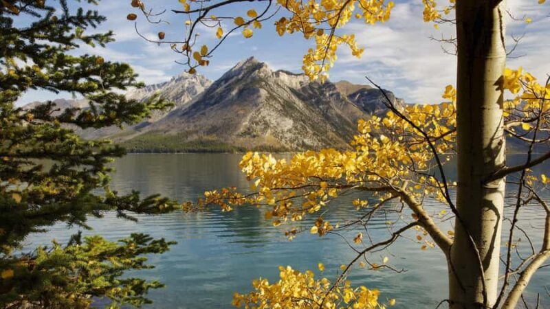 Banff Gondola Johnston Canyon Lake Minnewanka Banff day tour - Introduction