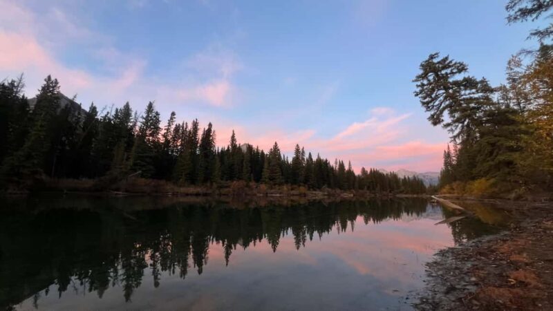 Banff: Grizzly Bear & Nature Walk & Hidden Gem Sunset Tour - An Honest Look at the Tour Itself