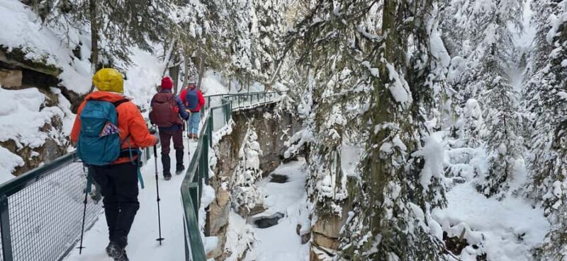 Banff: Johnston Canyon, Marble Canyon, & Lake Louise Tour - An In-Depth Look at the Tour