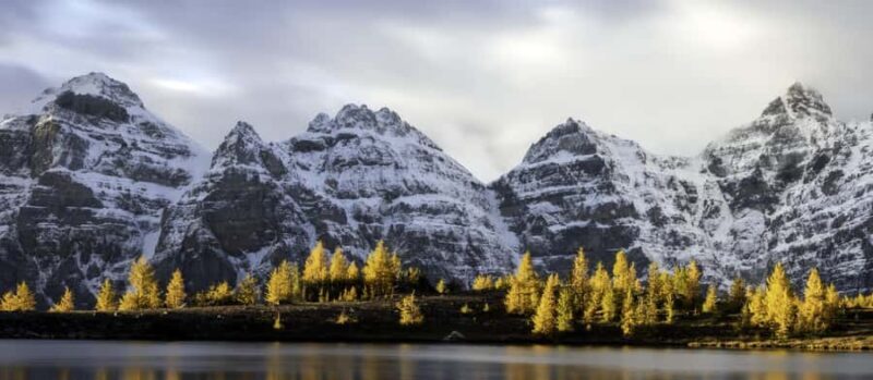 Banff: Larch Valley Guided Hike with Lunch & Transfers - Authentic Experiences & Traveler Feedback