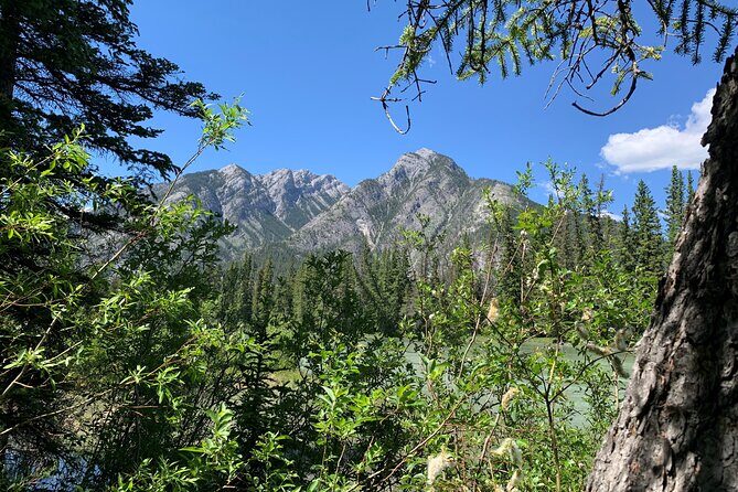 Banff LOST TOWNS and Untold Stories! 2hr Walk + Transportation - Exploring Banffs Lost Towns and Untold Stories: A Walk Through History