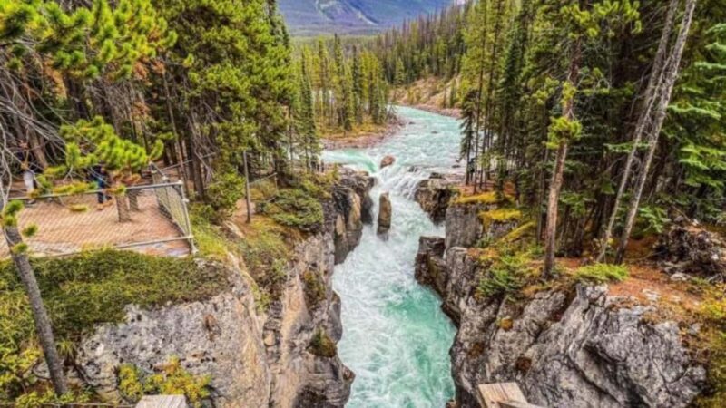 Banff. Moraine, Lake Louise ,Emerald & Johnston Canyon tour - Authentic Experiences and Traveler Feedback