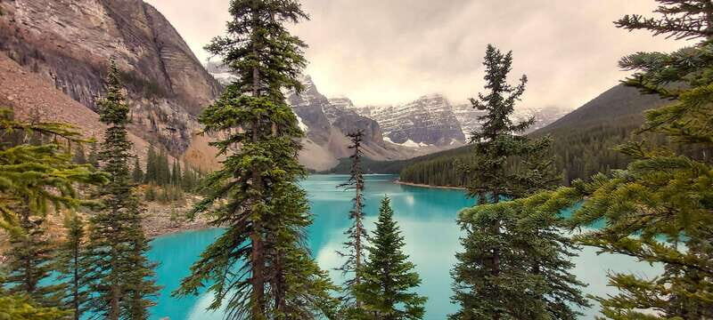 Banff National Park: Full-Day Adventure - Logistics and Practicalities