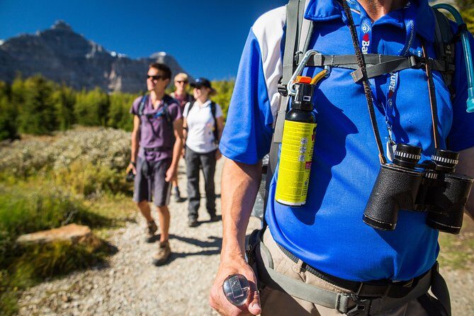 Banff National Park Guided Hike with Lunch - Authenticity and Scenic Rewards