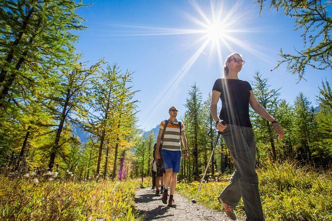 Banff National Park Guided Hike with Lunch - Who Will Love This Tour?