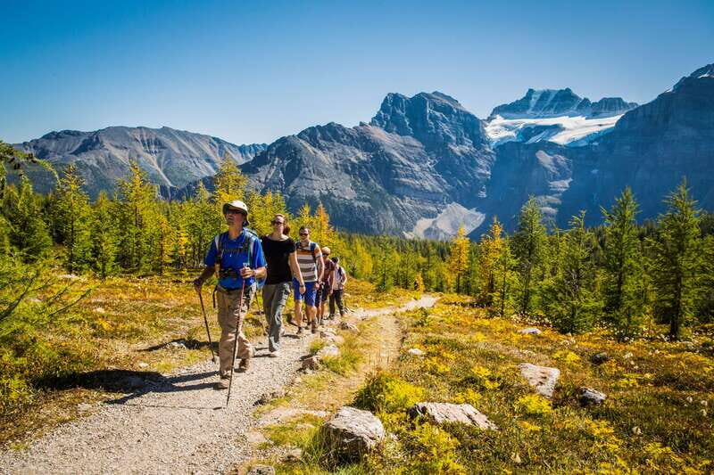 Banff National Park: Guided Signature Hikes with Lunch - Who is This Tour Best For?