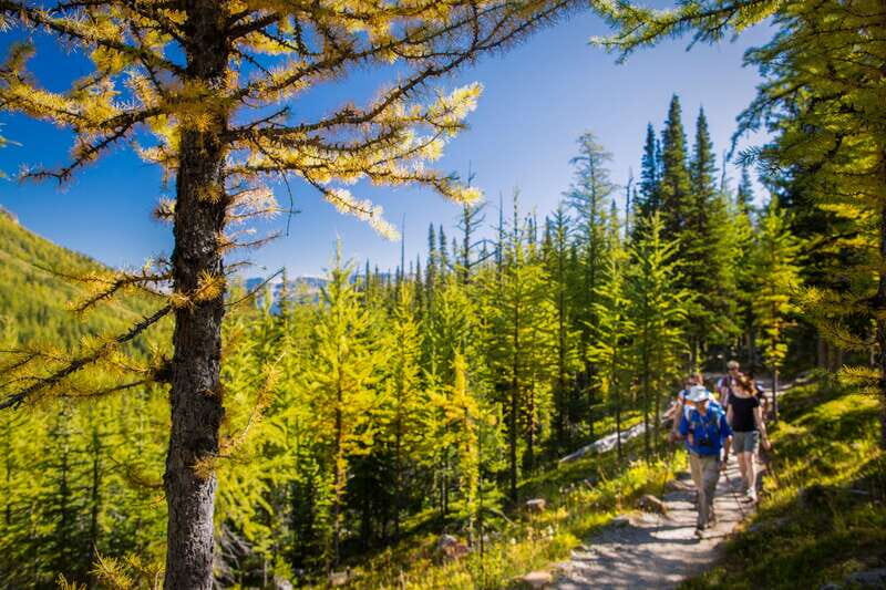 Banff National Park: Guided Signature Hikes with Lunch - FAQ
