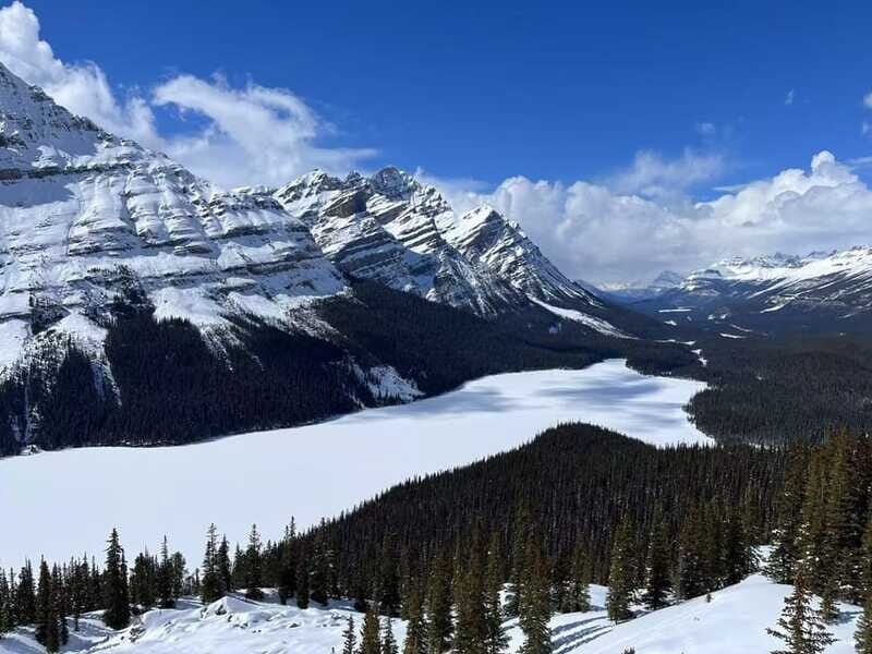 Banff National Park: Lake Louise & Upper Hot Springs Tour - The Practical Side – Pricing and Insights