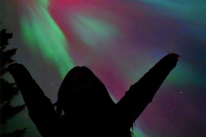 Banff Night Sky Stargazing Tour from Canmore and Banff - An In-Depth Look at the Experience