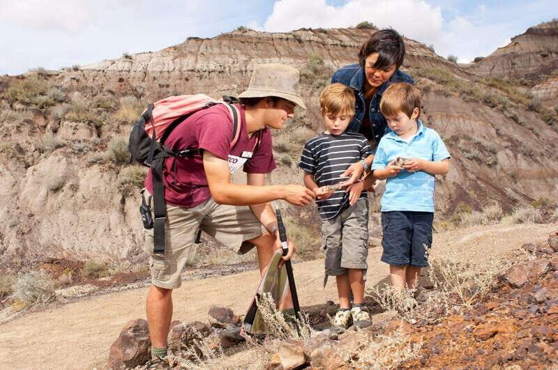Banff: Private Badlands Tour with Royal Tyrrell Museum - Why This Tour Is a Strong Choice for Certain Travelers