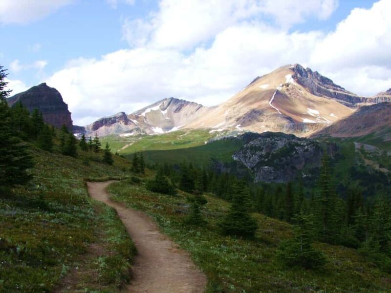 Banff: PRIVATE Guided Nature Walk - 2hrs - What the Tour Provides & What You Should Know