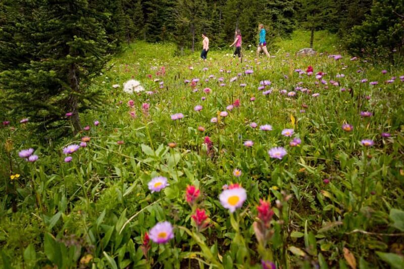 Banff: PRIVATE Guided Nature Walk - 2hrs - The Cost and Value