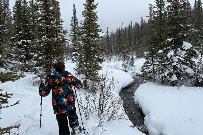 BANFF: Remote Guided Snowshoeing Adventure +Transportation - FAQ