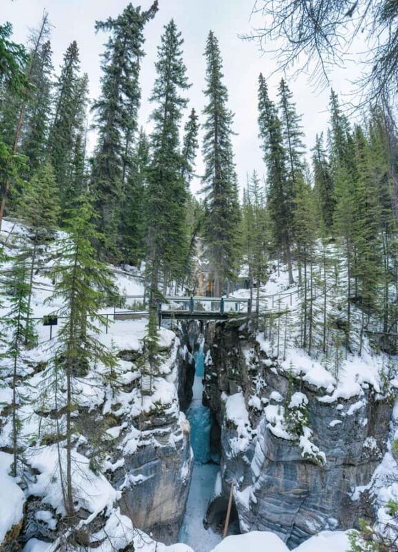 Banff: Small-group Tour of Frozen Gems of Yoho and Kootenay - Who Will Love This Tour?