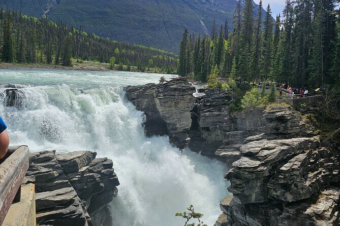 Banff to Jasper One-Way Private Tour sightseeing - Stop 5: Athabasca Glacier