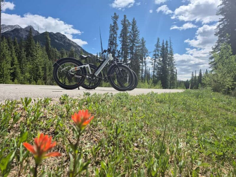 Banff Top Sights E-Fat Bike Tour  All Skill Levels - Key Points