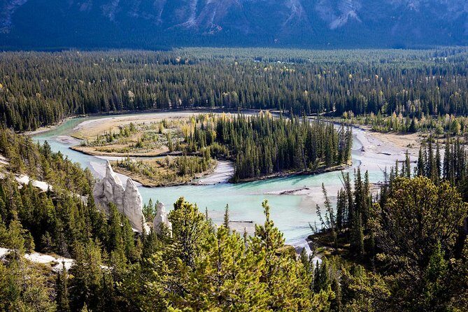 Banff Tour with Gondola & Lake Cruise - roundtrip from Banff - An Introduction to a Spectacular Day in Banff