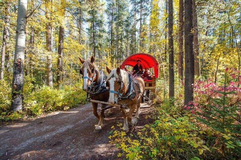 Banff: Wagon Ride with Cowboy Cookout BBQ - FAQ