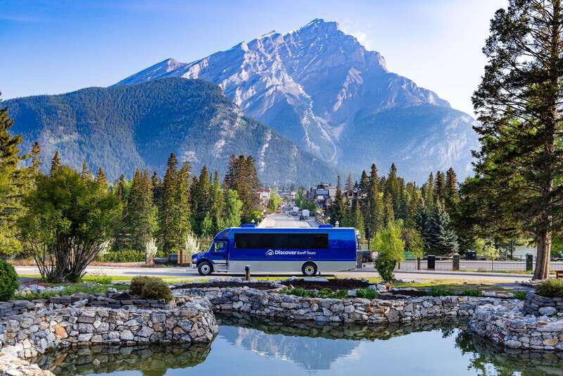 Banff: Wildlife and Sightseeing Minibus Tour - The Value and Why It Works for Travelers
