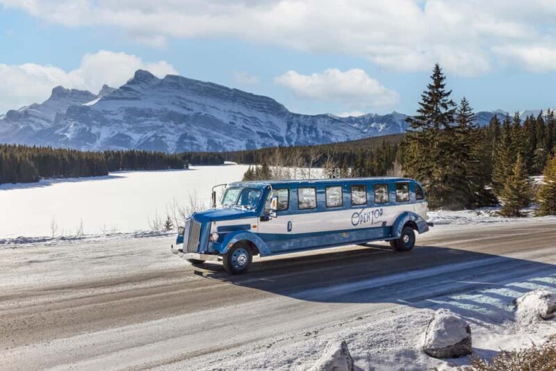 Banff: Winter Tour with Dinner & Nightrise at Banff Gondola - An In-Depth Look at the Banff Winter Tour
