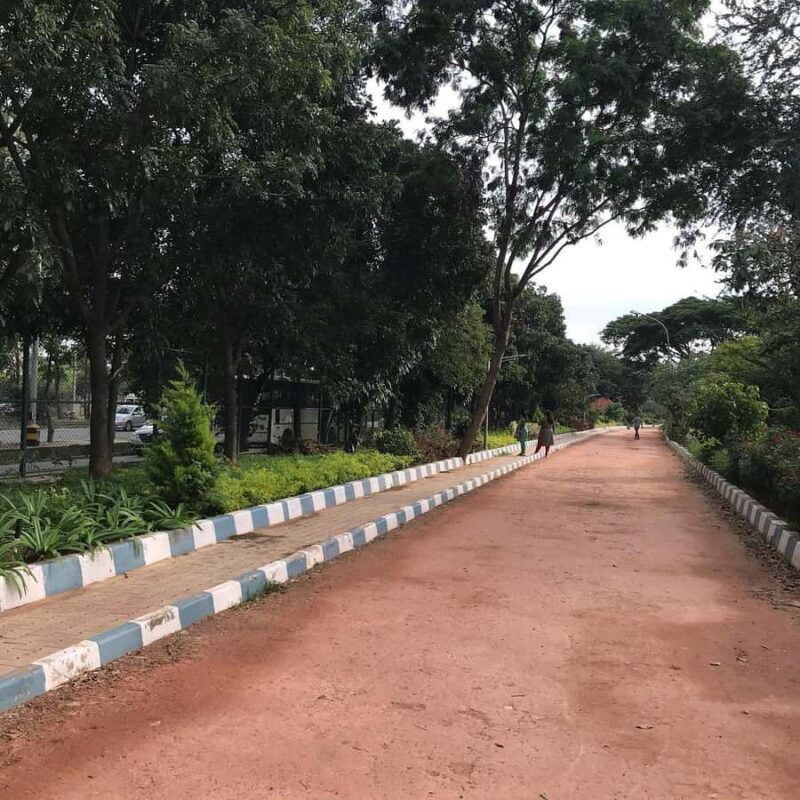 Bangalore: Agara Lake Walking Tour with Coffee - Key Points