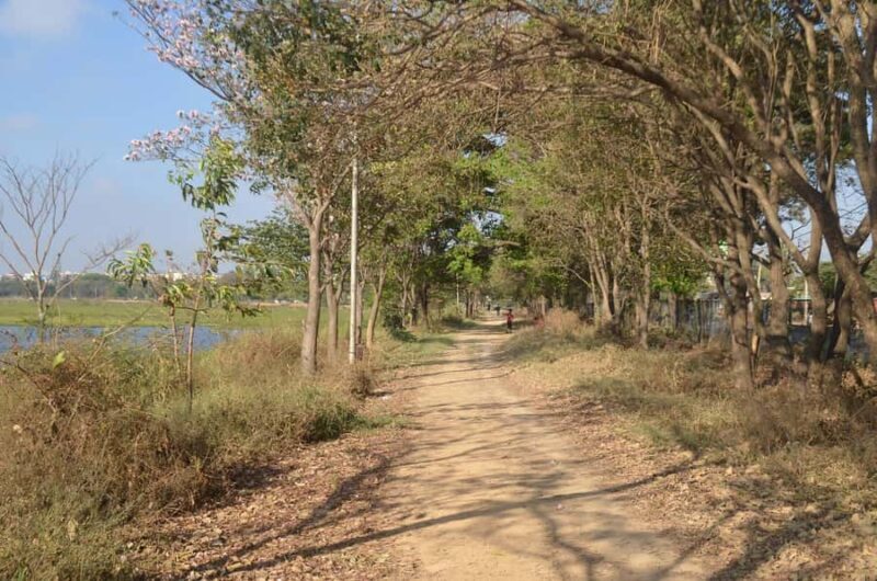 Bangalore: Agara Lake Walking Tour with Coffee - The Sum Up