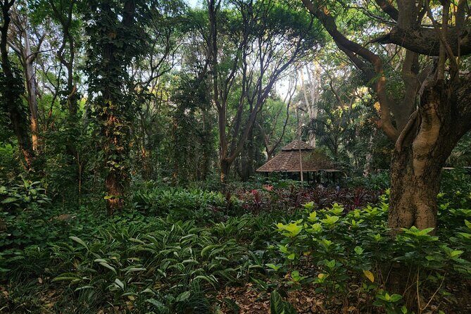 Bangalore Basavanagudi Heritage Self Guided Walking Tour - Key Points