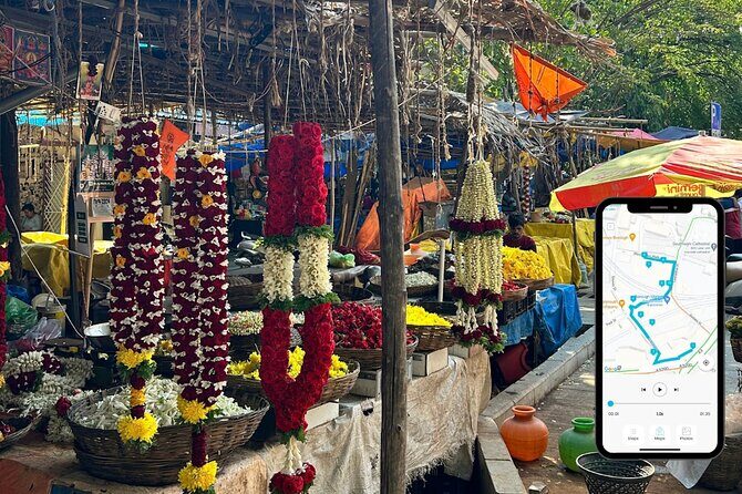 Bangalore Basavanagudi Heritage Self Guided Walking Tour - Who Will Love This Tour?