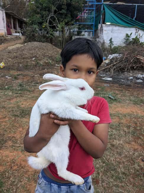 Bangalore: Big Barn Farm Visit with Animal Interactions - Why This Tour Is a Great Value