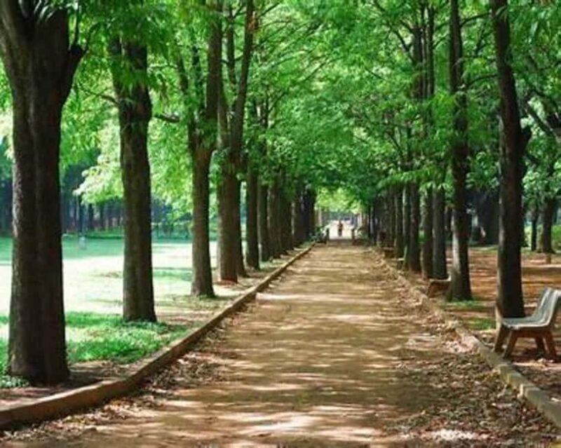 Bangalore: City Highlights Guided Tour - A Practical Guide to Bangalore in a Day