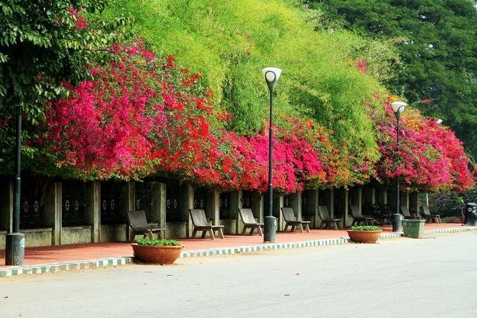 Bangalore City Tour (Lunch, Pick up & drop at hotel) - Final Thoughts: Is This Tour for You?