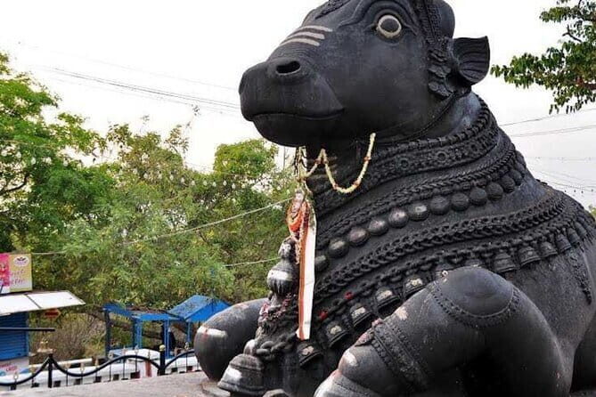 Bangalore: Full-Day Private City Guided Tour - Introduction: Why Choose This Tour?