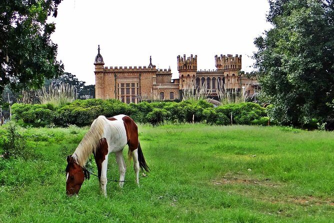 Bangalore - Full Day Private Tour - What You Can Expect from This Tour
