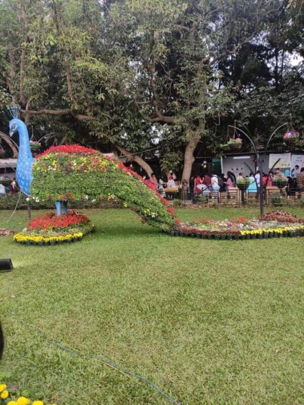 Bangalore: Lalbagh Botanical Garden Walking Tour with Guide - Analyzing Value and Cost