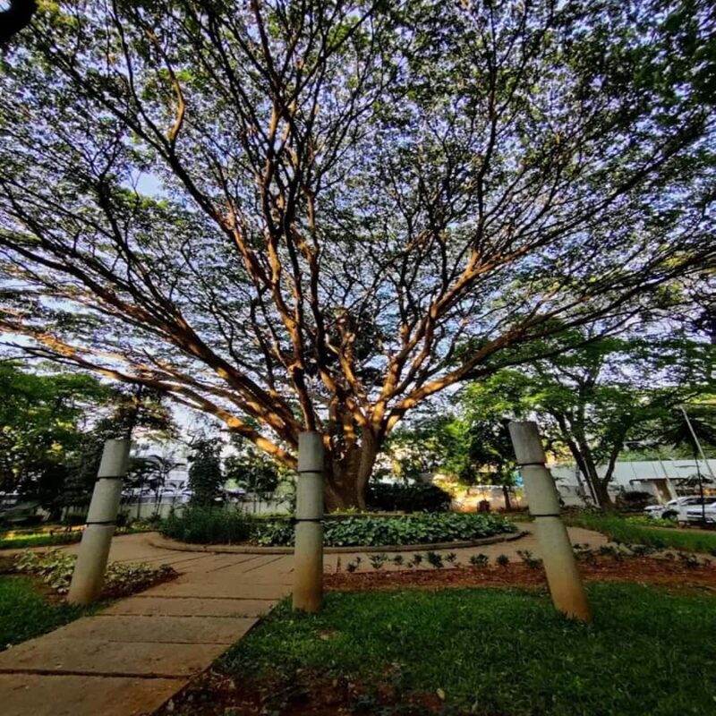 Bangalore: National Gallery of Modern Art with Pickup - Key Points