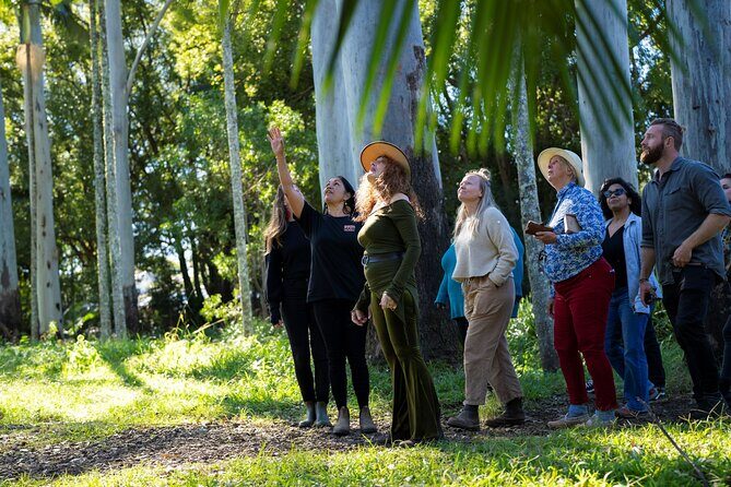 Bangalow Native Bush Food Tour - What to Expect on the Tour