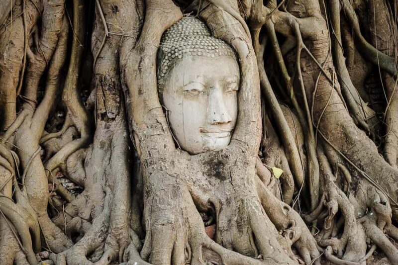 Bangkok: Ayutthaya History, Food and Boat Full-Day Trip - A Thorough Breakdown of the Experience